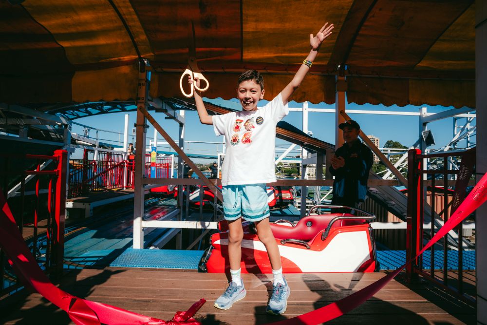 Wild Mouse